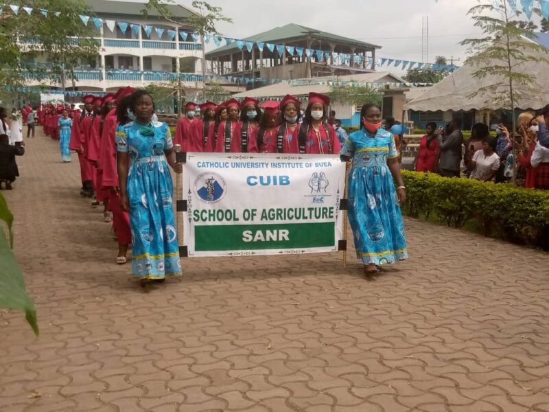 CUIB graduates 183 students with flying colours. – CUIB